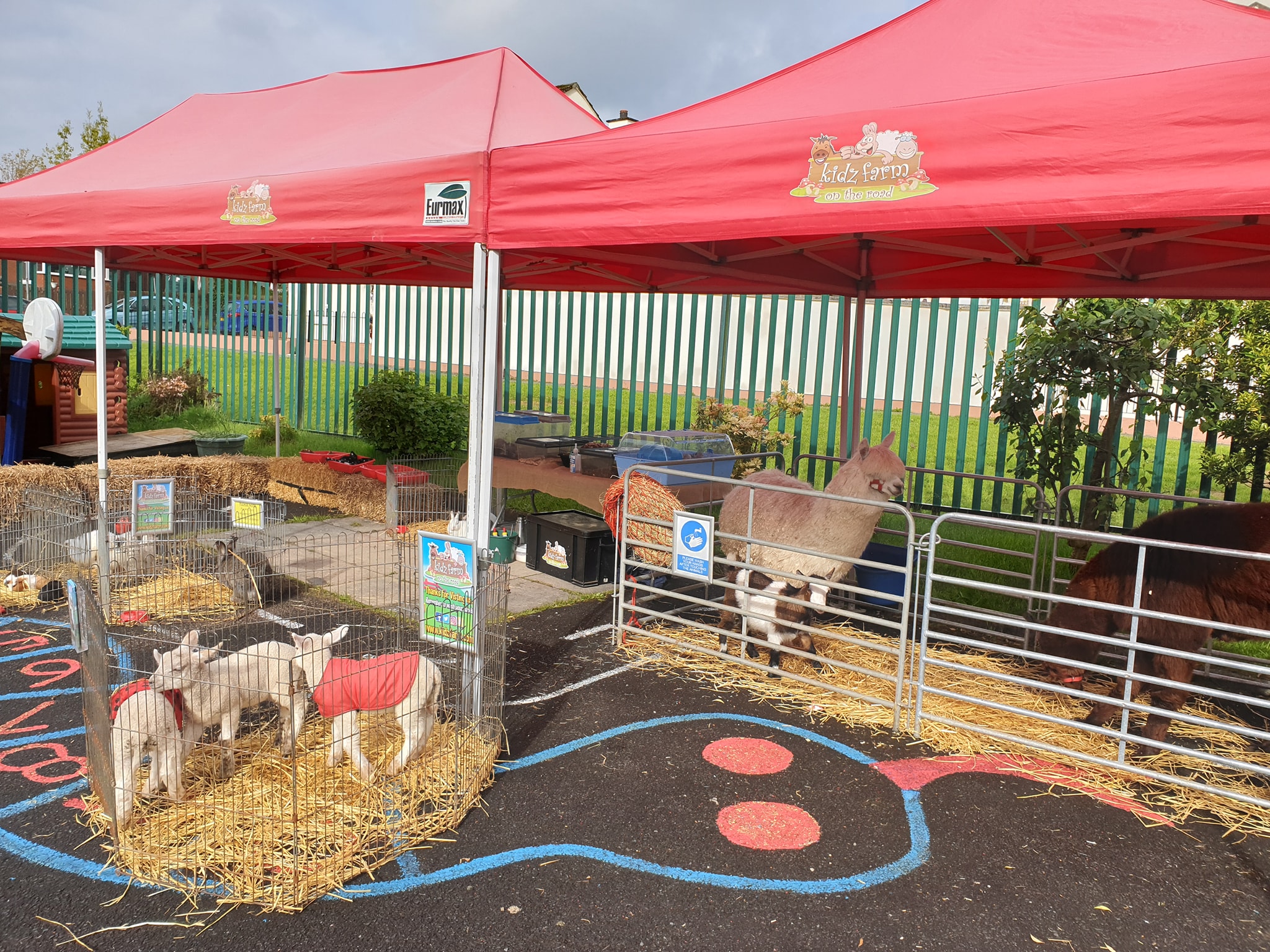 Gallery - Kidz Farm