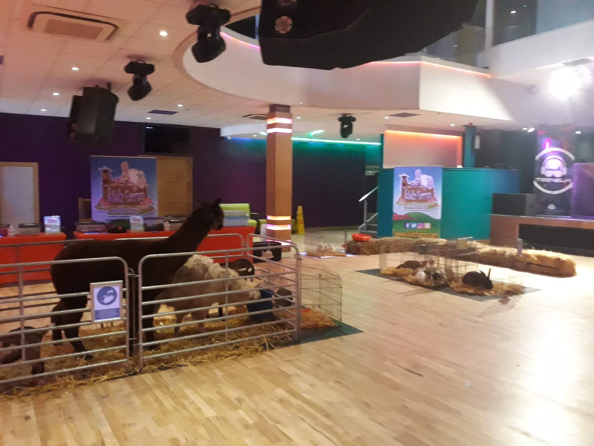 Mobile Farm - Kidz Farm